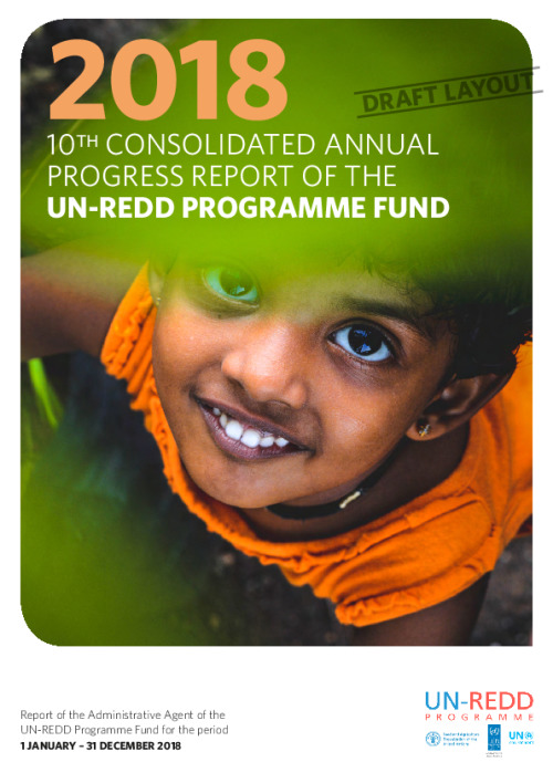 UN-REDD 2018 Annual Report final draft, 7 June | UNREDD Programme